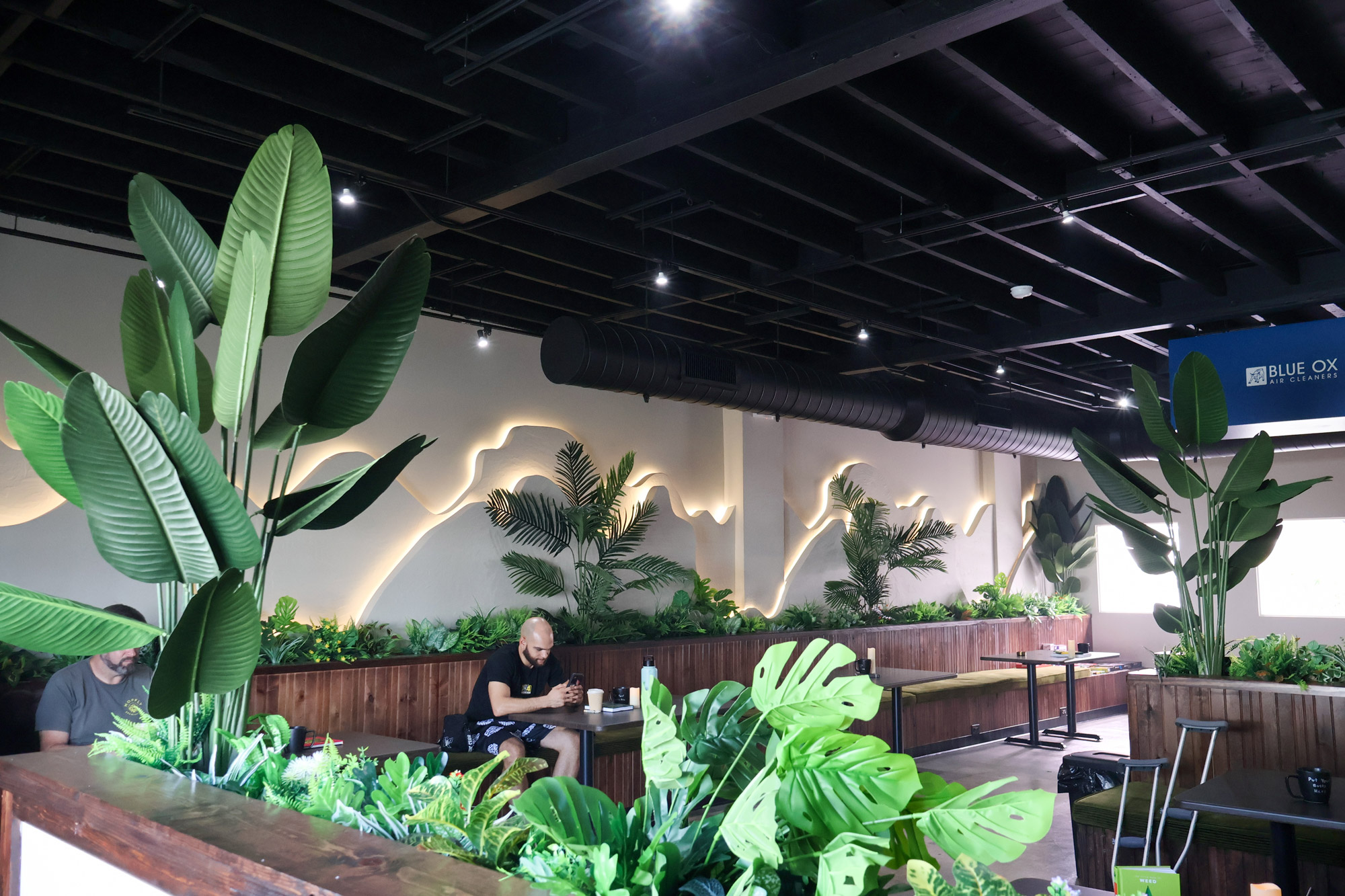 Best Dispensaries in Charlotte, NC | The Kanna Collective